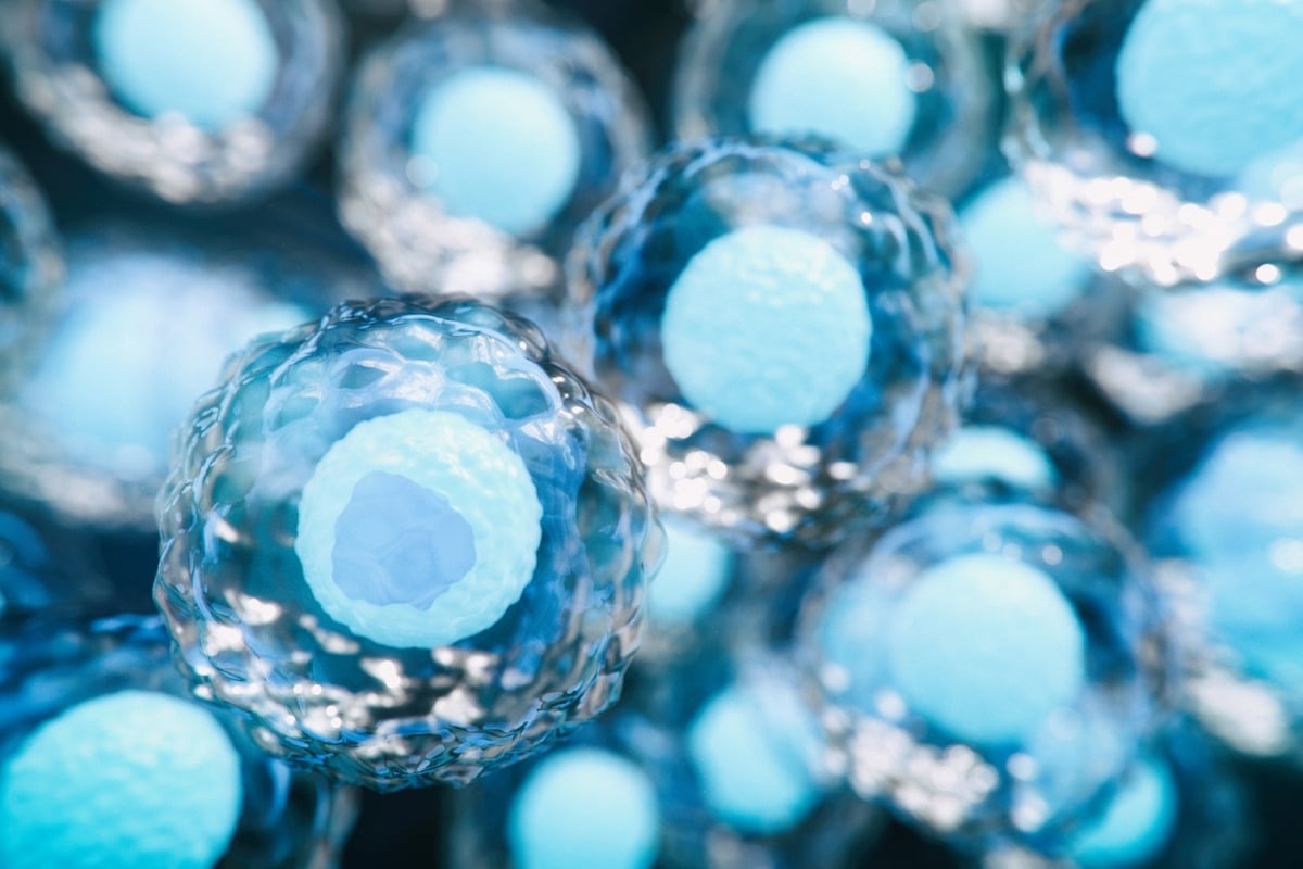 Rapid Sterility Testing of Cell and Gene Therapies