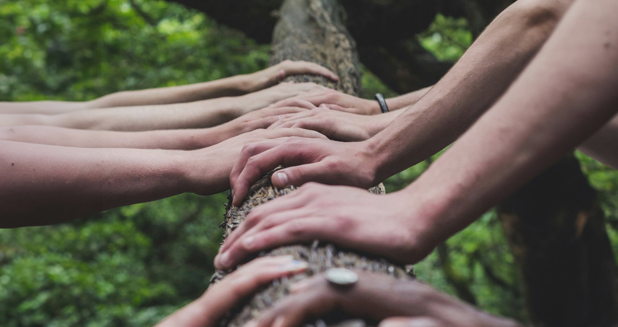 Symcel - Rapid sterility testing & microbial detection systems